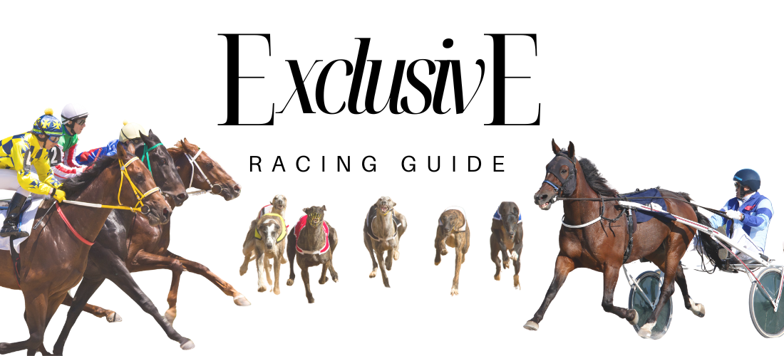 Exclusive Racing Guide - Bet Digital